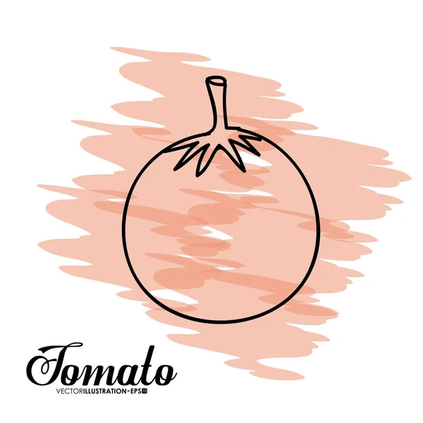 100,000 Desenho fases tomate Vector Images | Depositphotos