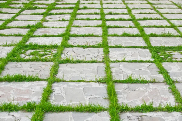 Grass pavers Stock Photos, Royalty Free Grass pavers Images | Depositphotos