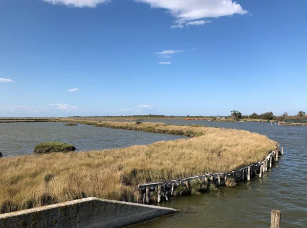 Baía de jamaica Stock Photos, Royalty Free Baía de jamaica Images ...