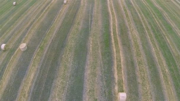 110 Erdschock Videos, Royalty-free Stock Erdschock Footage | Depositphotos