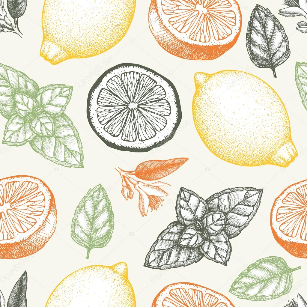 Hand drawn lemons Stock Vector Image by ©geraria #101136250