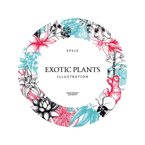 Ink hand drawn exotic plants — Stock Vector © geraria #111730066