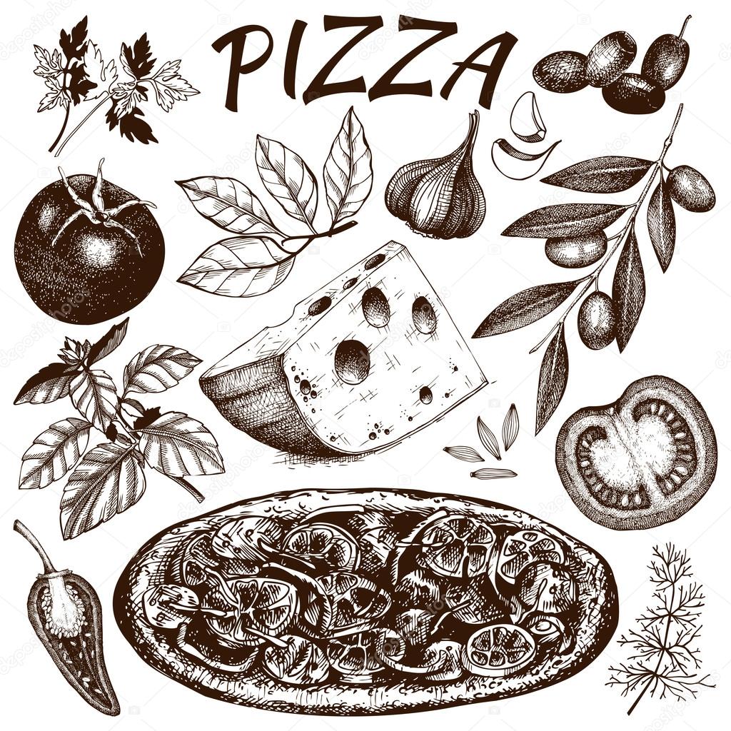 Vintage Pizza sketch set — Stock Vector © geraria #66097797