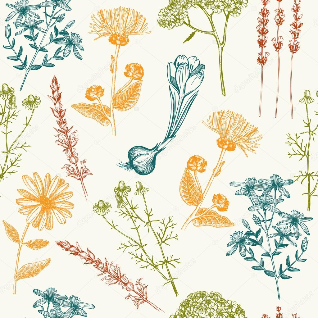 Seamless herbal background Stock Vector Image by ©geraria #69837135