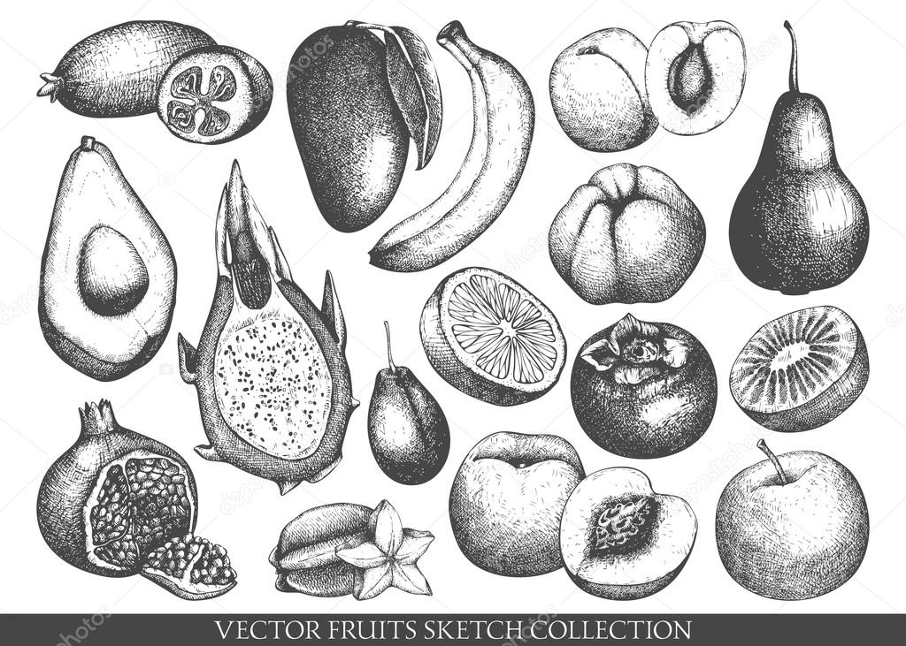 Tropical Fruits Drawing