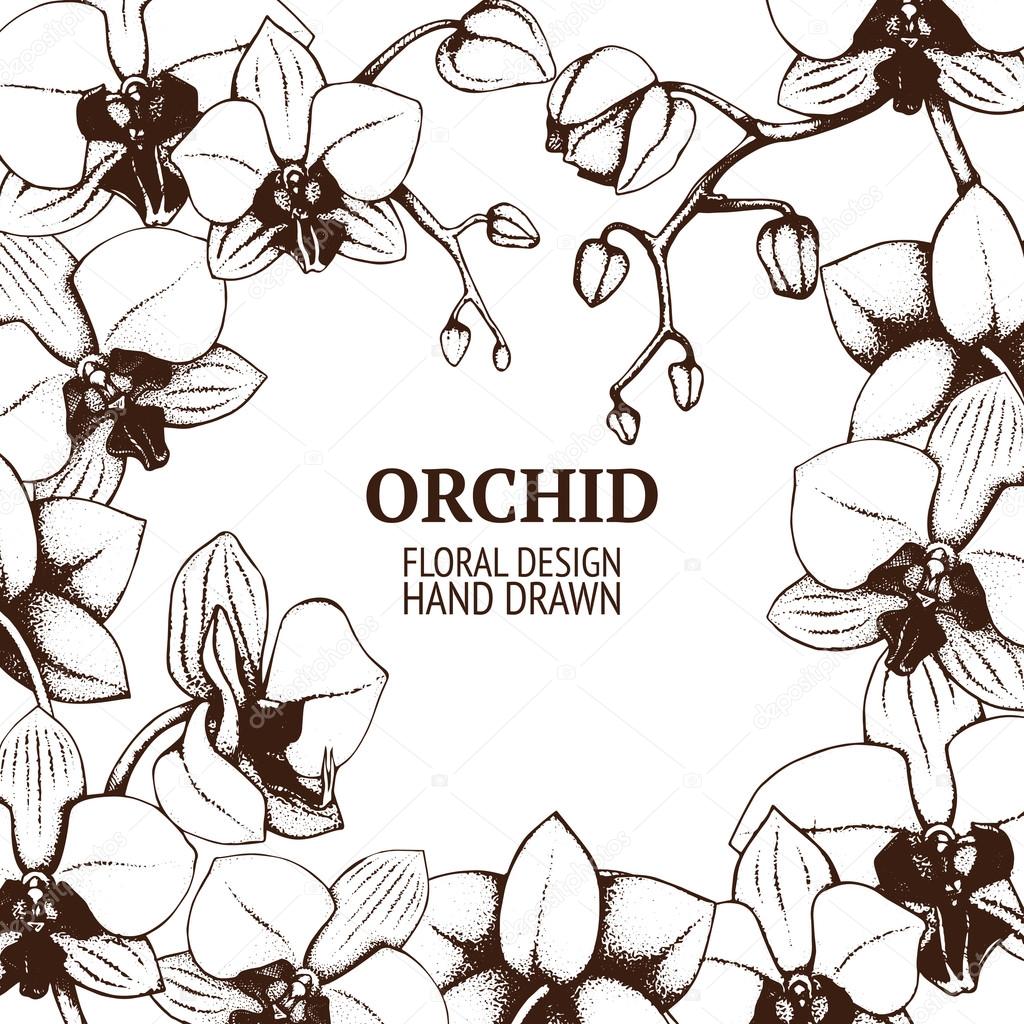 Frame from Orchid flowers Stock Vector by ©geraria 80701406