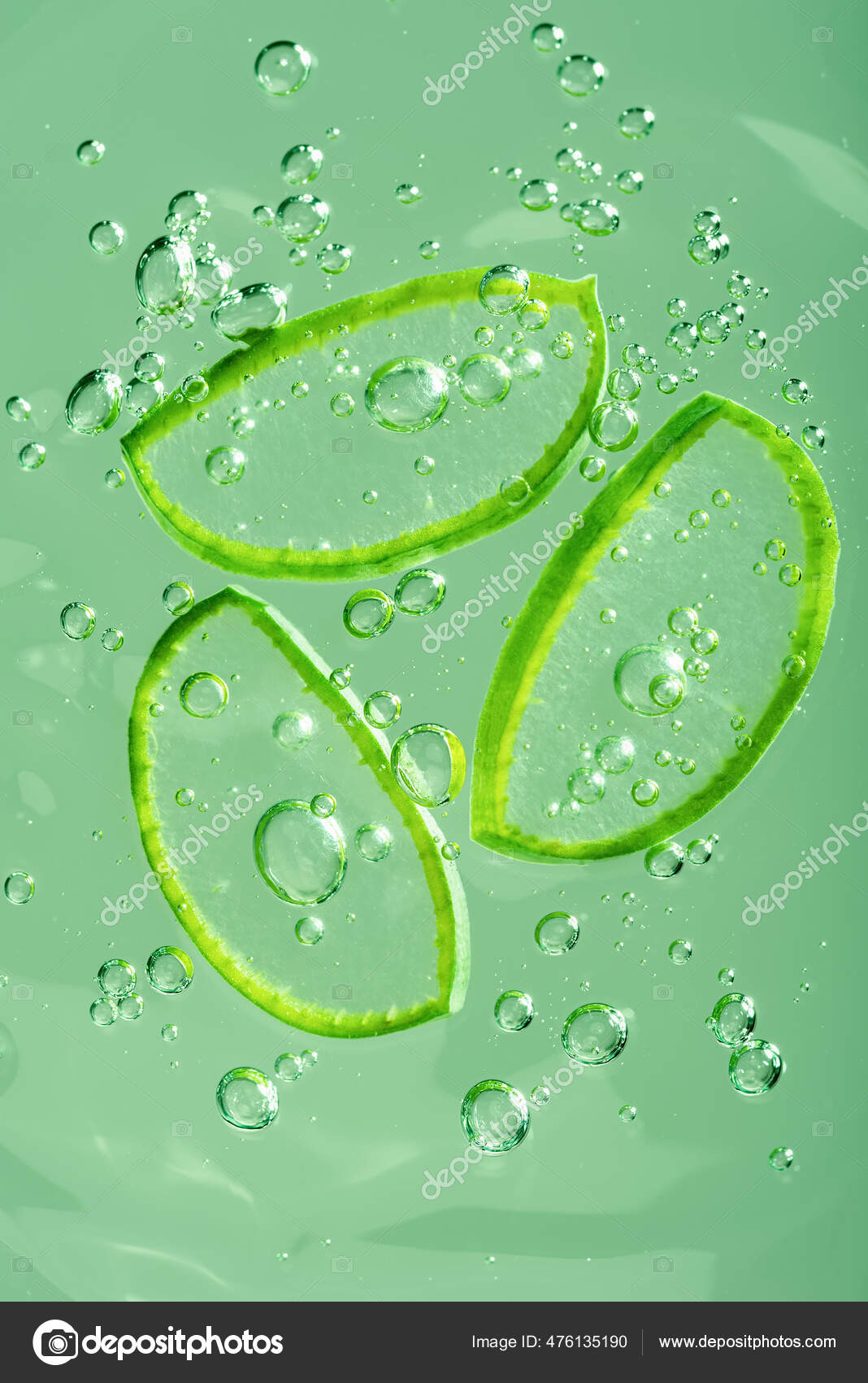 Aloe Vera Slice Texture Gel Green Background Medicinal Plant Flat Stock ...