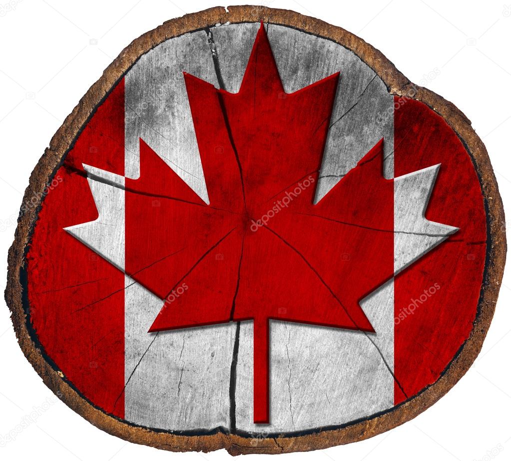 Canadian Flag on Section of Tree Trunk — Stock Photo © catalby #65444239