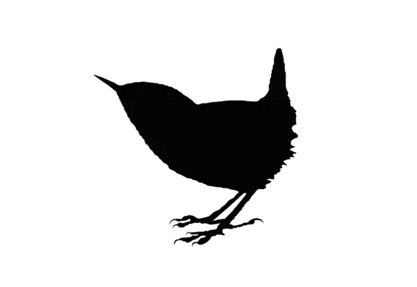 Wren Silhouette