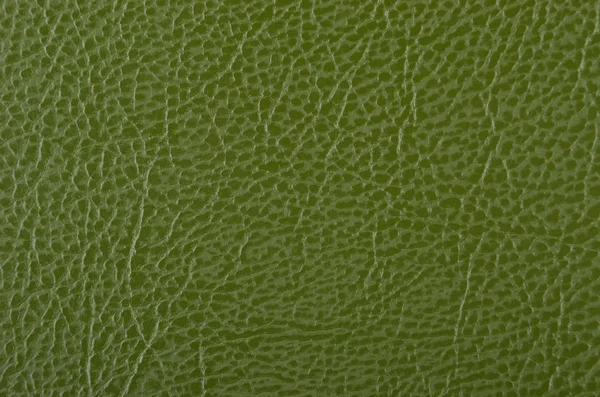 Green leather book Stock Photos, Royalty Free Green leather book Images ...