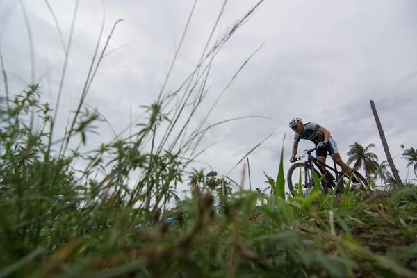 Python — Stock Photo © arztsamui #9886043