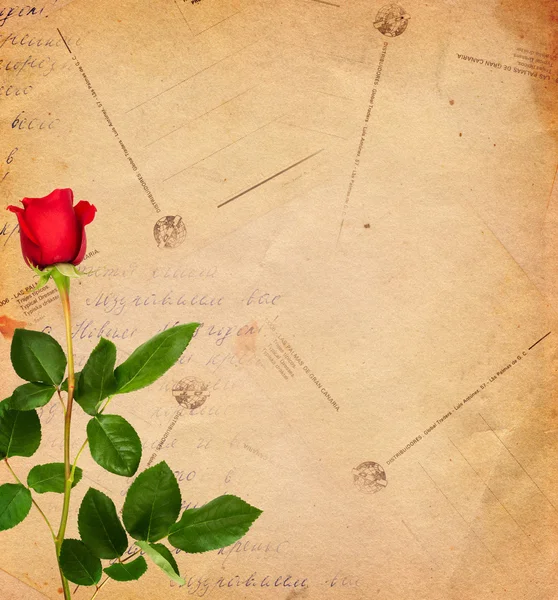 Vintage old paper background with red rose — Stock Photo © loriklaszlo ...