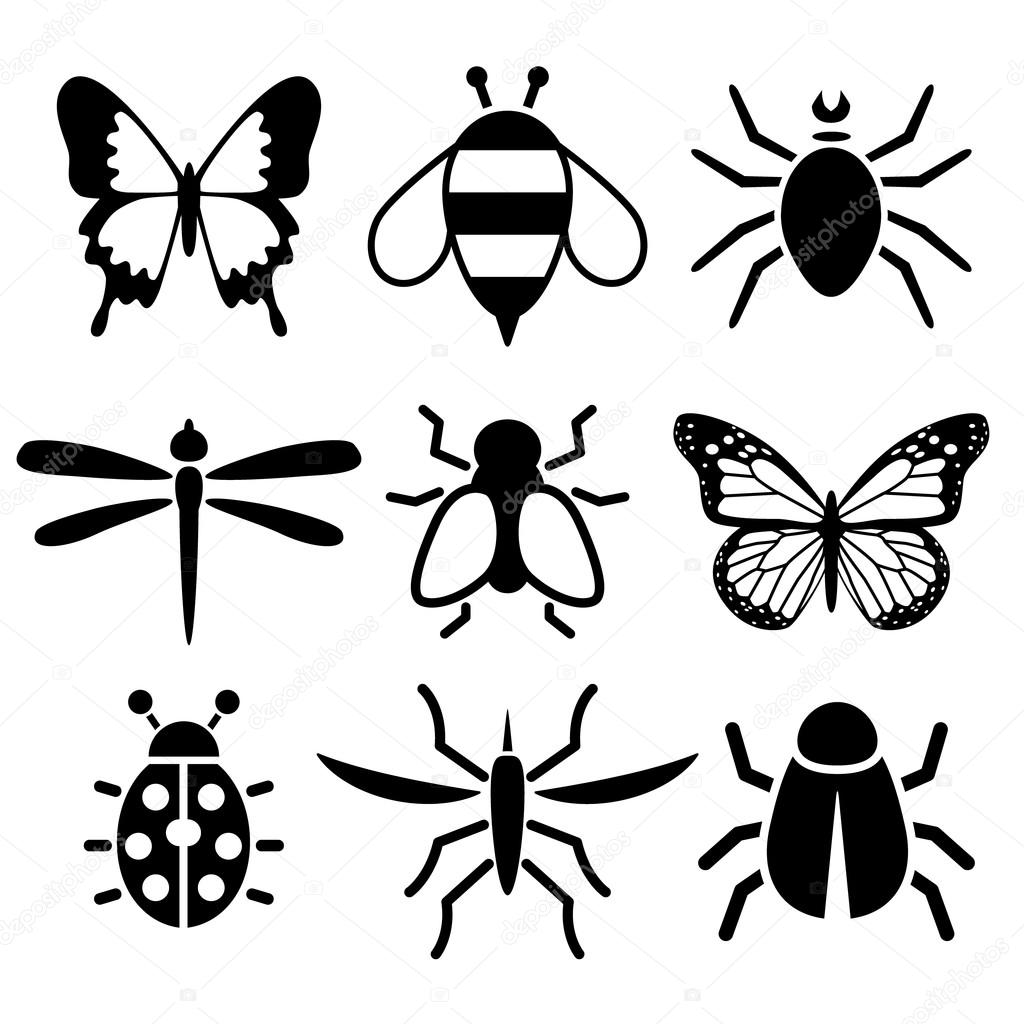 Insect collection Stock Vector by ©glorcza 61518689 Insect collection Stock Vector by ©glorcza 61518689