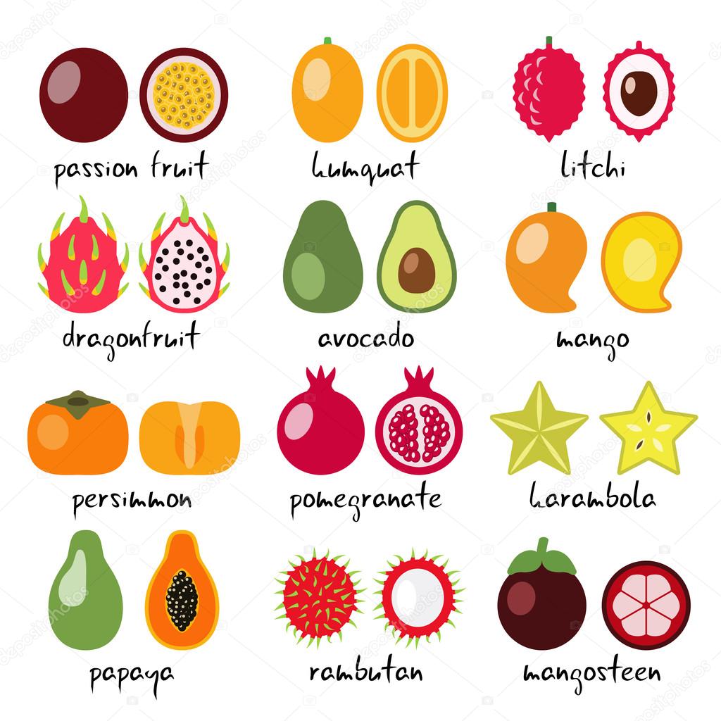 collection de fruits exotiques — Image vectorielle glorcza © #89431014