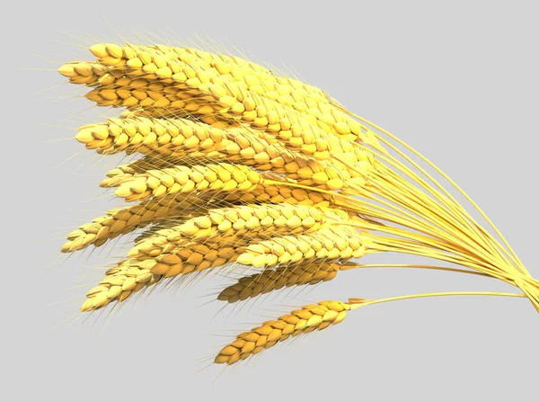 Modelo de trigo Stock Photos, Royalty Free Modelo de trigo Images ...