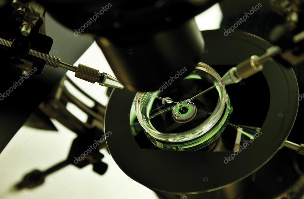 Artificial insemination genetic experiment Stock Photo by ©vilevi 98916168