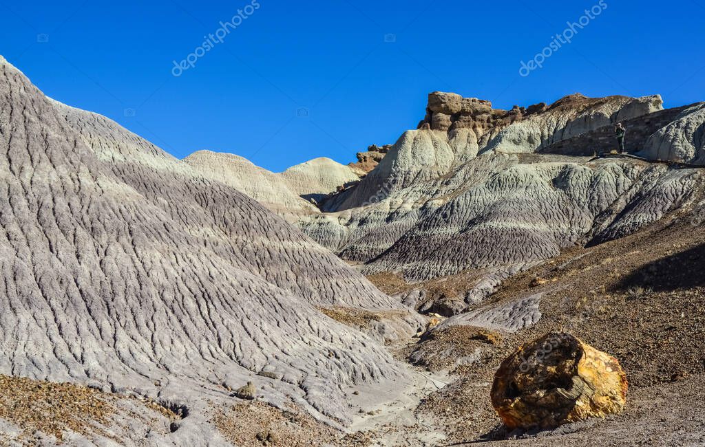 El desierto pintado en un día soleado. Diversas rocas sedimentarias y ...