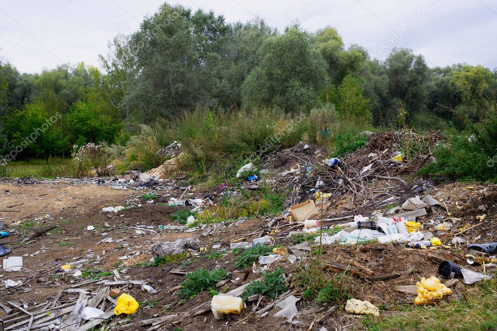 Vertido de residuos domésticos en el bosque. Contaminación de la ...