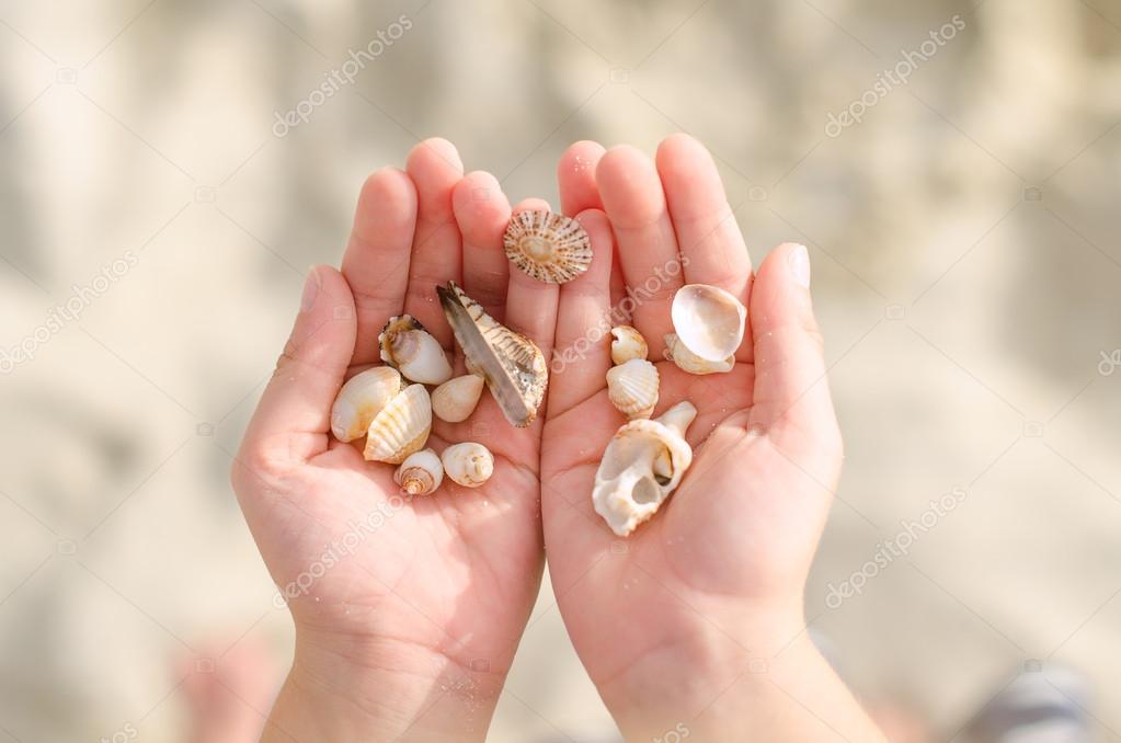 Child hands holding sea shells. Stock Photo by ©mproduction 58149159