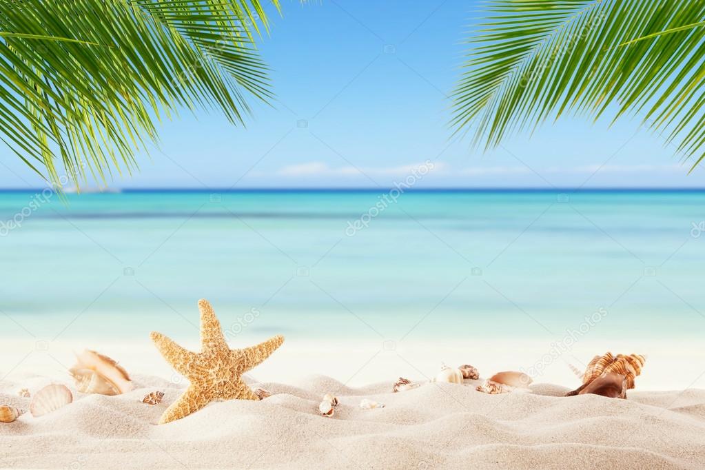 Sandy Beach Images For Free - Infoupdate.org