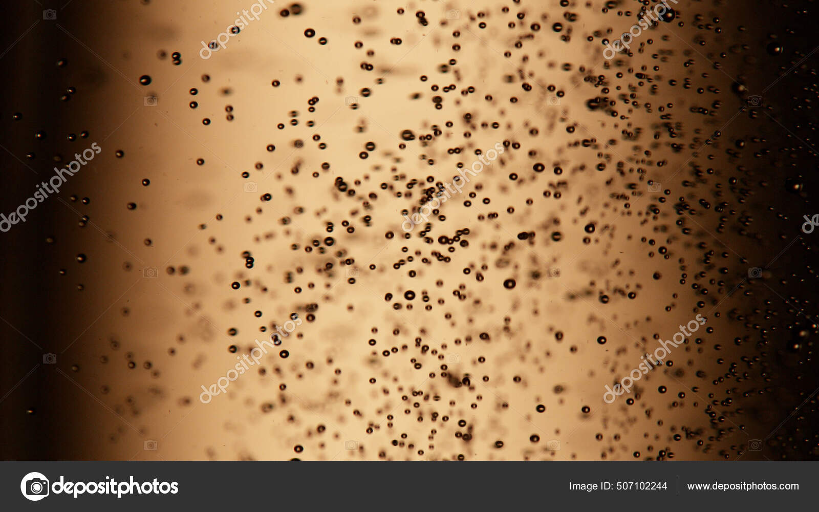 Champagne Bubbles Background