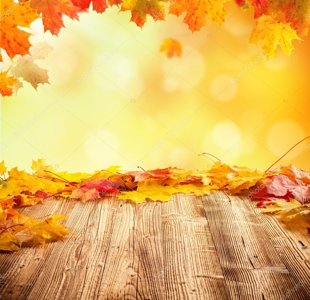 Autumn background with empty wooden planks — Stock Photo © jag_cz #51808495