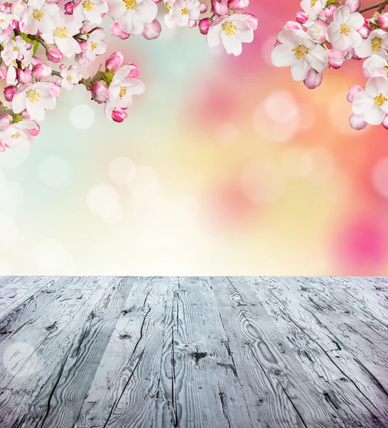 Spring Stock Photos, Royalty Free Spring Images - Page 4 | Depositphotos