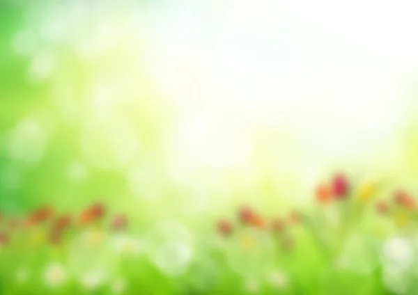 Abstract blurry spring background Stock Photo by ©jag_cz 62850617