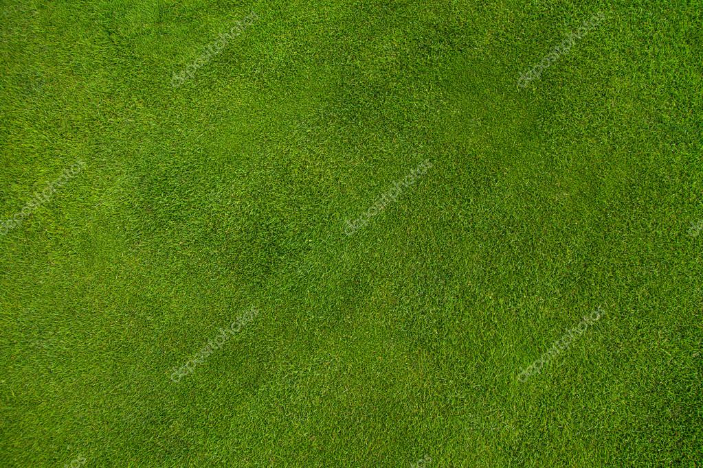 Tekstur rumput hijau — Foto Stok © jag_cz #84188754