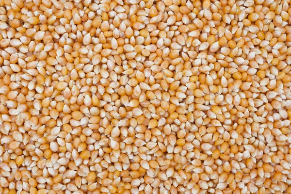 Popcorn Kernels Background Stock Photo by ©karenr 124203638