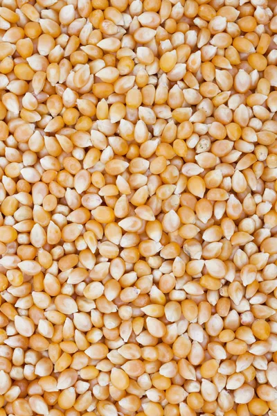 Popcorn Kernels Background Stock Photo by ©karenr 124203638