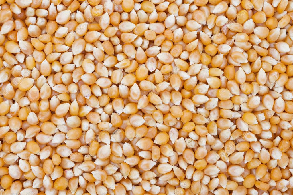 Popcorn Kernels Background Stock Photo by ©karenr 124203638
