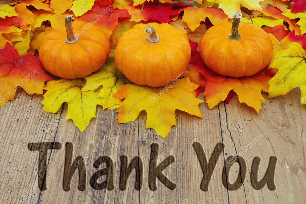 Thank You this Thanksgiving — Stock Photo © karenr #87251688