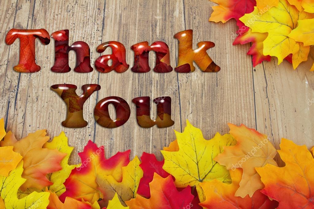 Thank You with Fall Leaves — Stock Photo © karenr #92684518