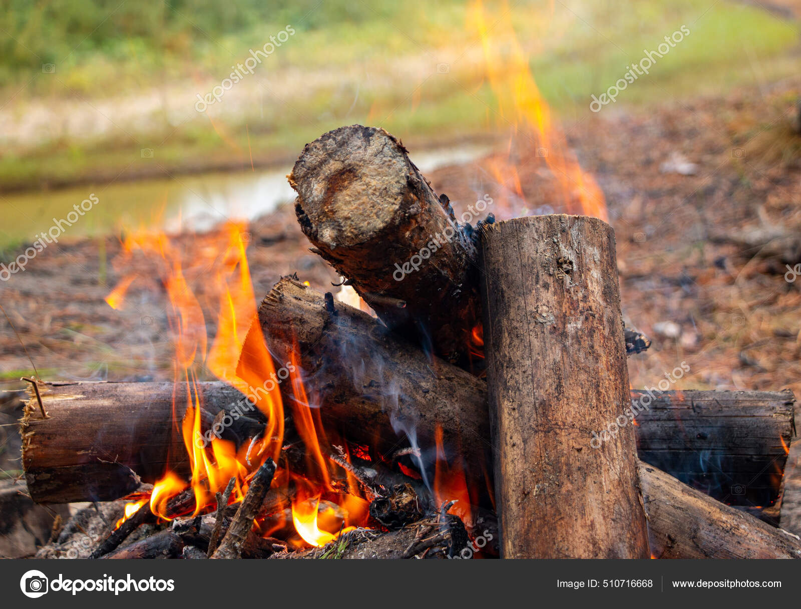 Bonfire Made Pine Sticks Branches Burning Bright Orange Warm Warming ...