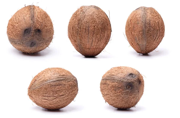 Big Coconut Isolated White Background — Stock Photo © coffeemill #390971628