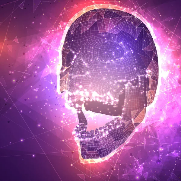 Lidská Lebka Vektorový Koncept Triangulátor Volumetrický Destrukce ...