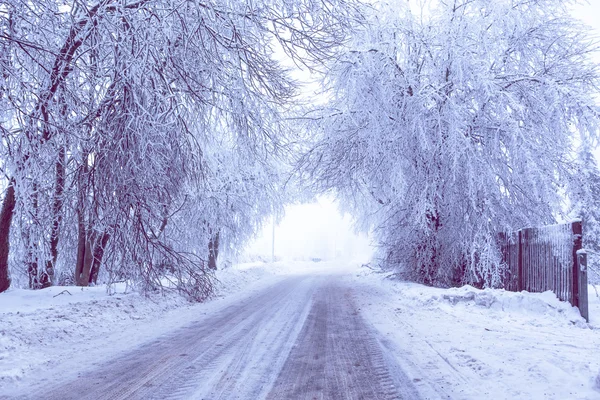 Wintry Stock Photos, Royalty Free Wintry Images | Depositphotos®