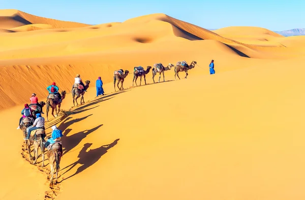 Camel caravan going through the sand dunes in the Sahara Desert Stock Photo by ©AndriiVergeles ...