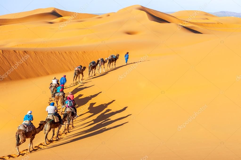 Camel caravan going through the sand dunes in the Sahara Desert Stock Photo by ©AndriiVergeles ...