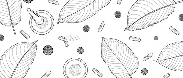 Kratom Vector Art Stock Images | Depositphotos