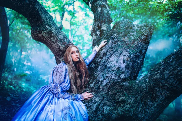 Princess in magic forest — Stock Photo © Fotolit2 #120122628