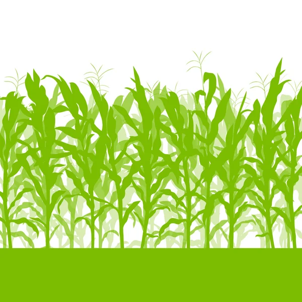 Corn field vector Stock Vectors, Royalty Free Corn field vector ...