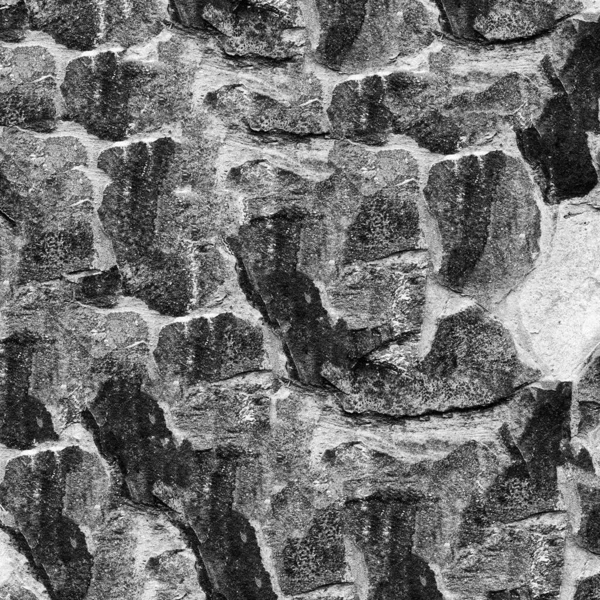 Parapet stone texture Stock Photos, Royalty Free Parapet stone texture ...