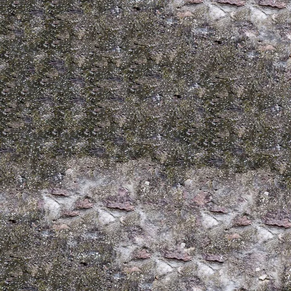 Worm texture images libres de droit, photos de Worm texture | Depositphotos