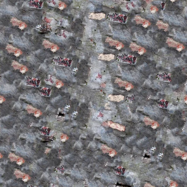 Ww1 trench images libres de droit, photos de Ww1 trench | Depositphotos