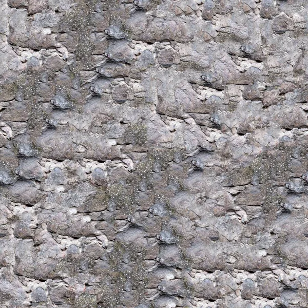 Conqueror texture fotos de stock, imágenes de Conqueror texture sin ...