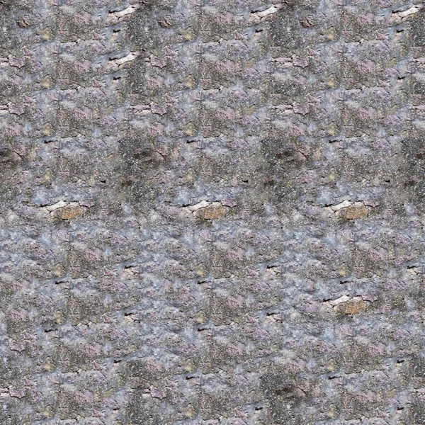 Roadkill Stock Photos, Royalty Free Roadkill Images | Depositphotos