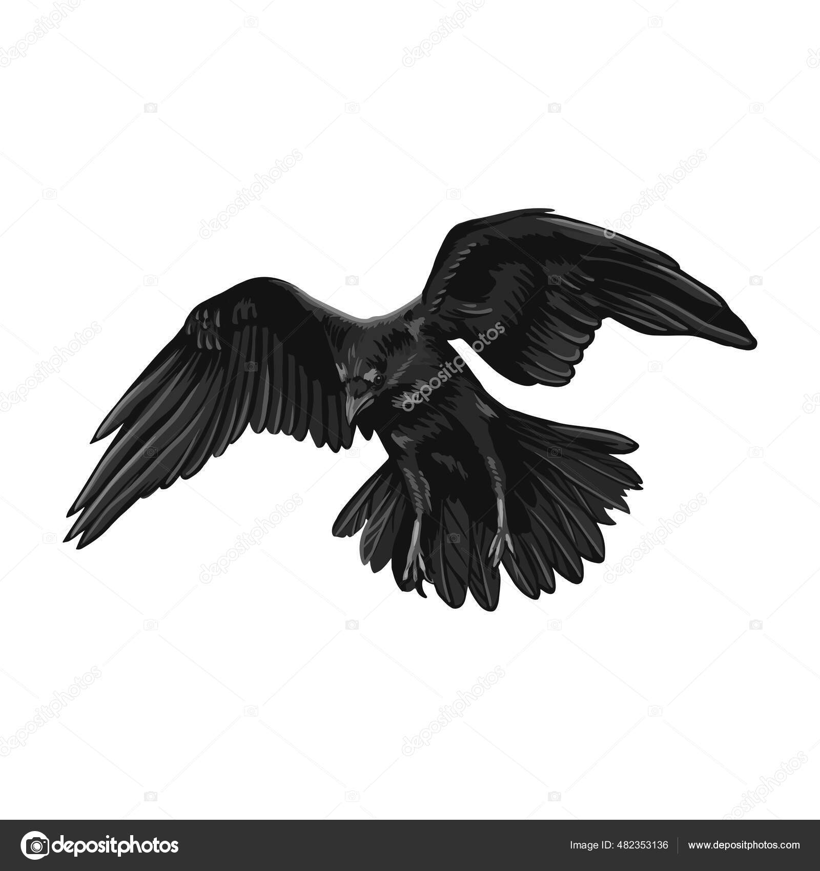 Rabenlandung Zeichnung Flying Raven Drawing Etsy.de