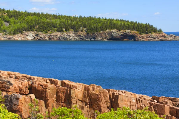 Hali Stock Photos, Royalty Free Hali Images | Depositphotos